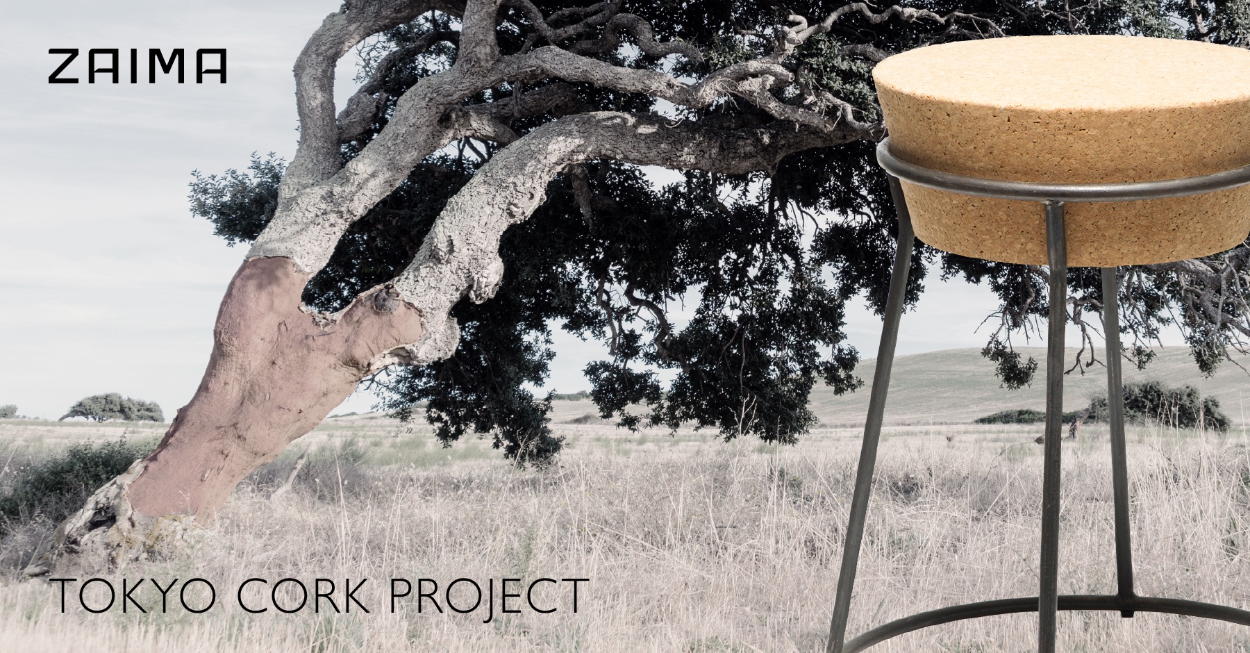 TBMが運営するECサイト「ZAIMA」、 コルク栓を捨てることなくアップサイクルした生活用品ブランド 「TOKYO CORK PROJECT ...